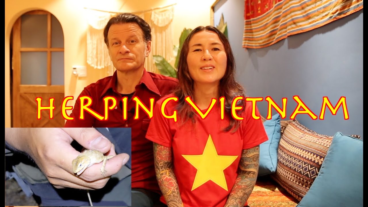Herping Vietnam