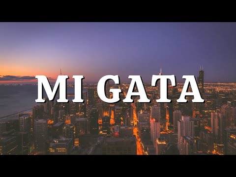 Standly & El Barto – 'Mi Gata' (Spanish Lyrics English Translations)