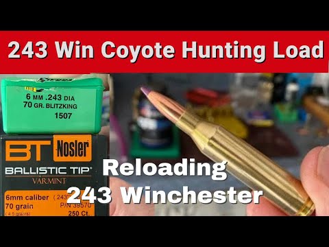 Reloading 243 Winchester | Best Coyote Hunting Loads