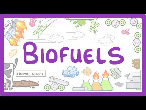 GCSE Physics - Biofuels