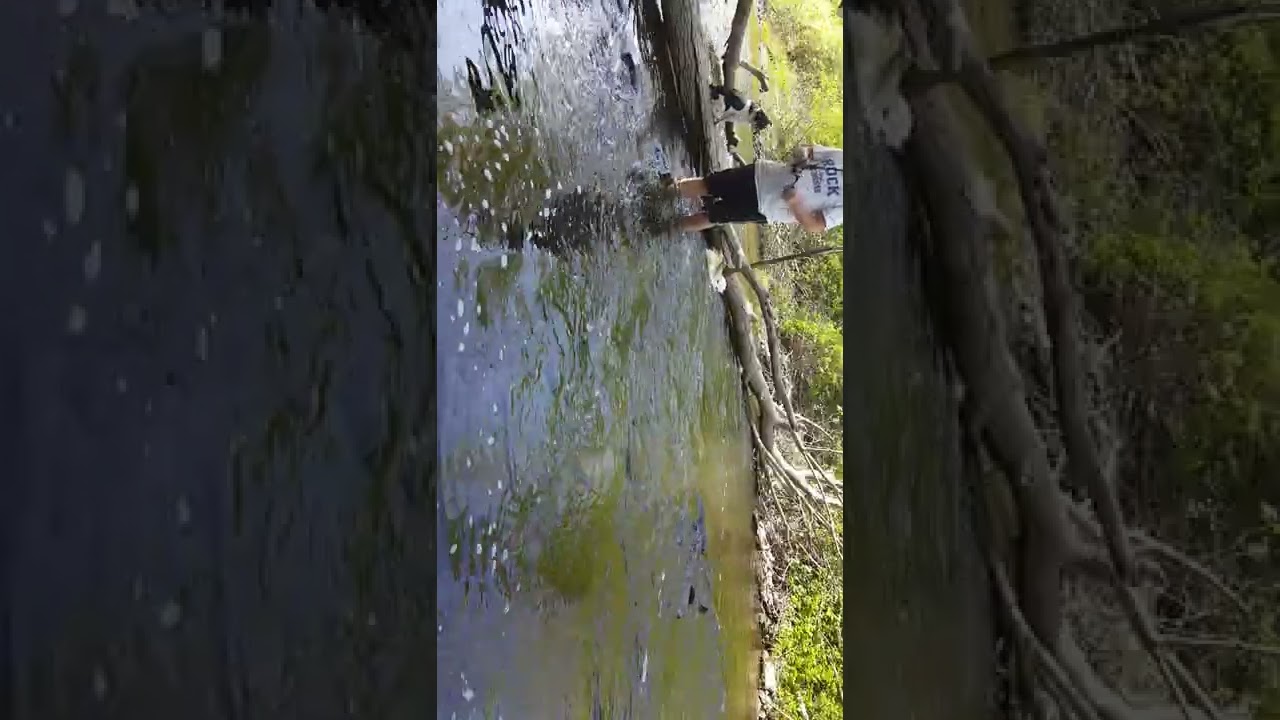 Big Creek chub with horns!