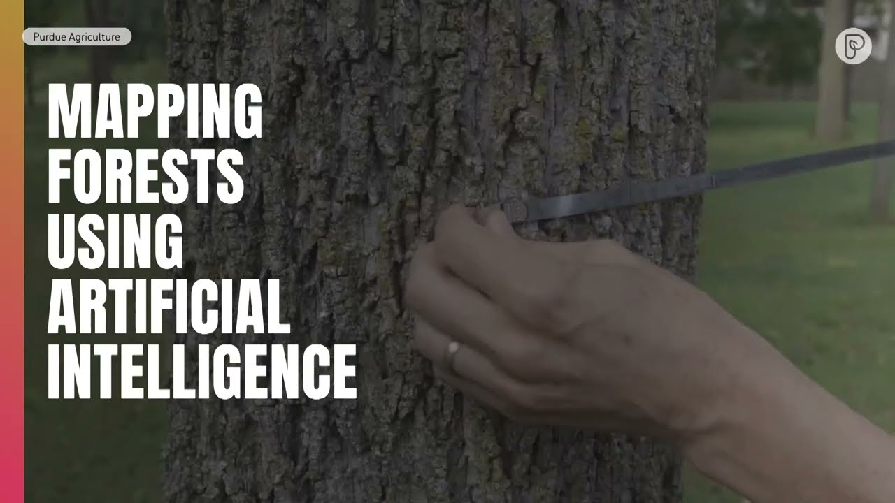 Mapping Forests with AI
