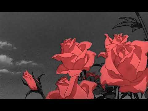 saint jhn ~ roses (imanbek remix) ノ slowed + reverb ノ