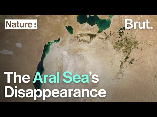 Drying Up of the Aral Sea: Causes, Consequences, and Solutions