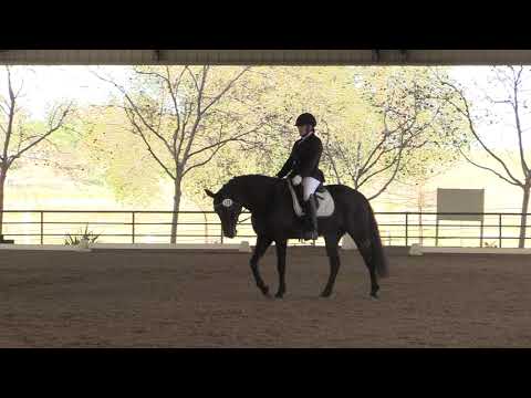 2022 USEF Training Level Test 3 - 70%