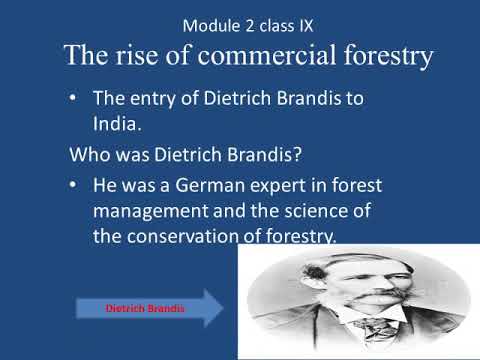 The Rise Of Commercial Forestry Video Lecture - Social Studies (SST ...