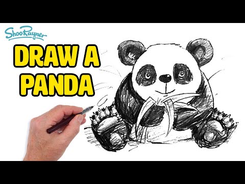 How to draw a Panda Bear – drawing School – Shoo Rayner
