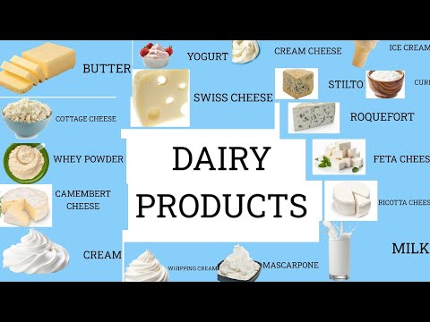 DAIRY PRODUCTS IN ENGLISH | MILK PRODUCT NAMES FOR KIDS #KIDZEEE Dairy product name