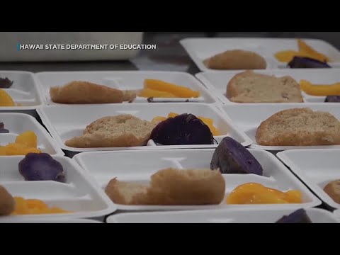 'My favorite': Hawaii public schools serve up Okinawan sweet potato for lunch