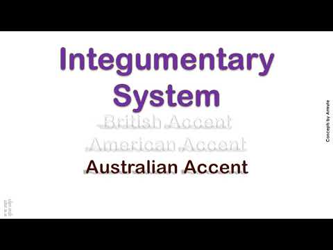 Integumentary System How to Pronounce Integumentary System in Australian, British Accent ?