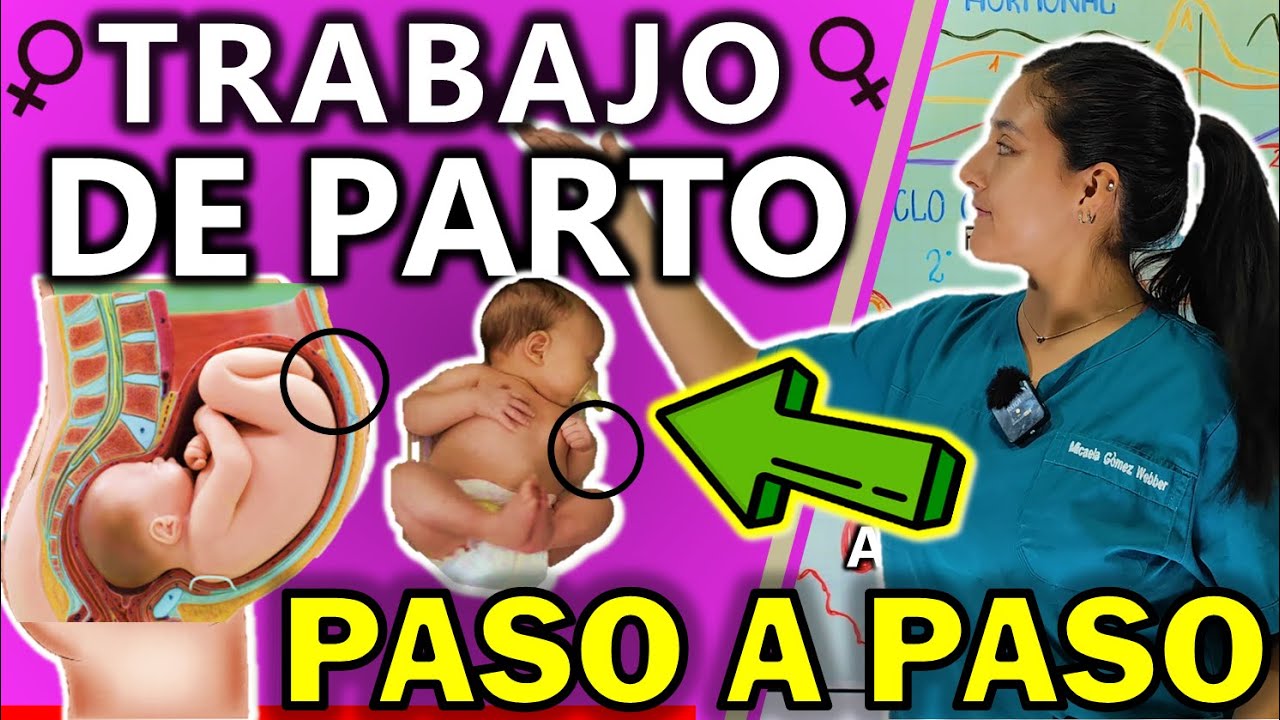 LABOR STEP BY STEP | GuiaMed