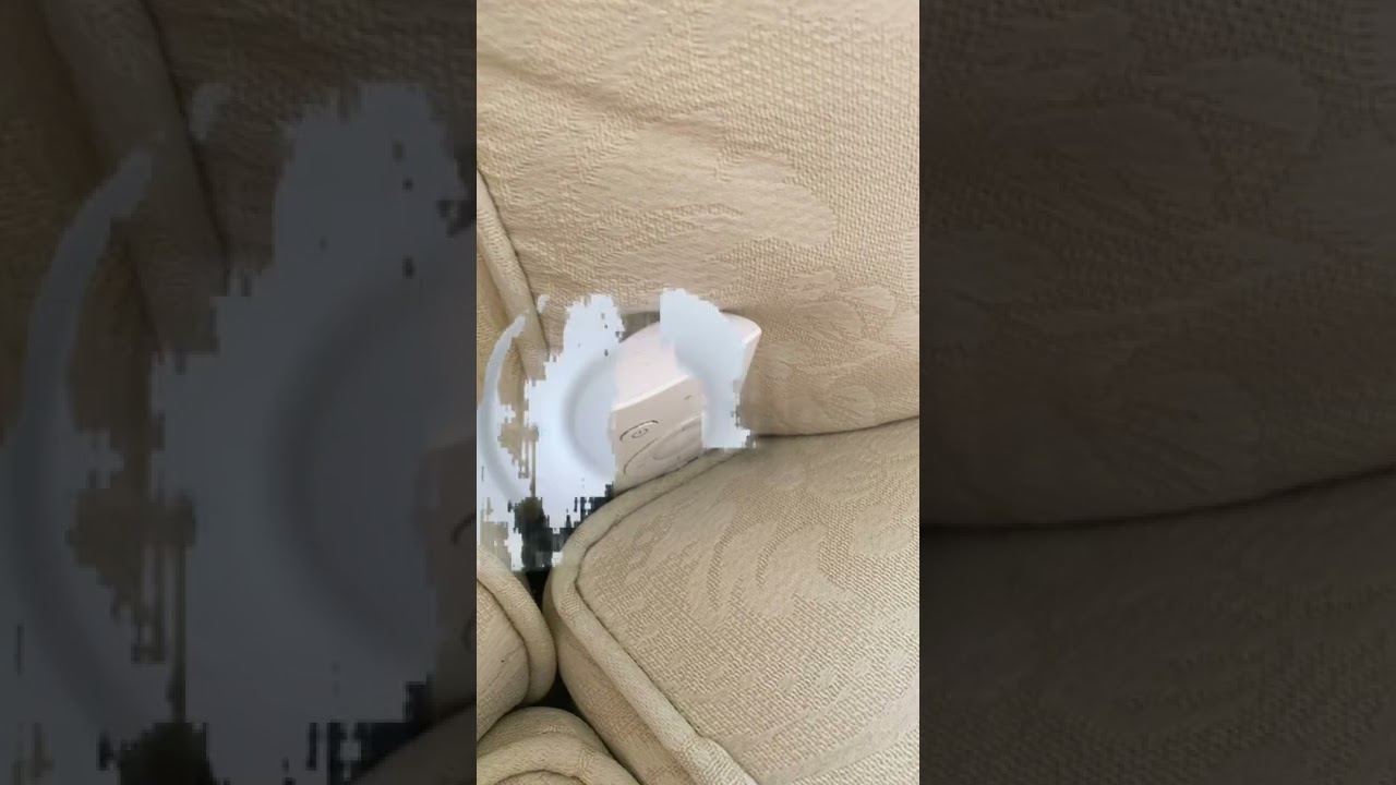 OH NO MY TV REMOTE FELL IN THE COUCH
