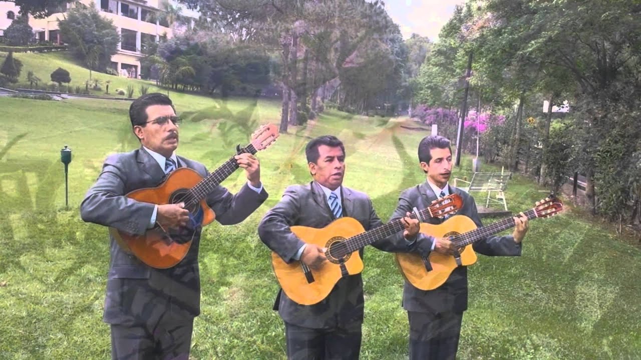 Trío Huatusco - Huatusqueña (VIDEO OFICIAL 2014)