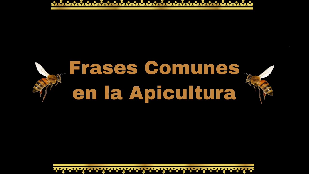 Common Phrases in Beekeeping in Spanish