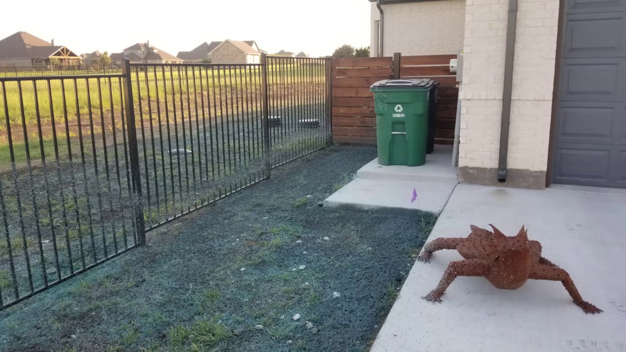 Hydroseeding North Texas