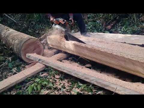 pembuatan balok 4x10 kayu Meranti bunga..