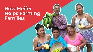 Heifer Project International - GuideStar Profile