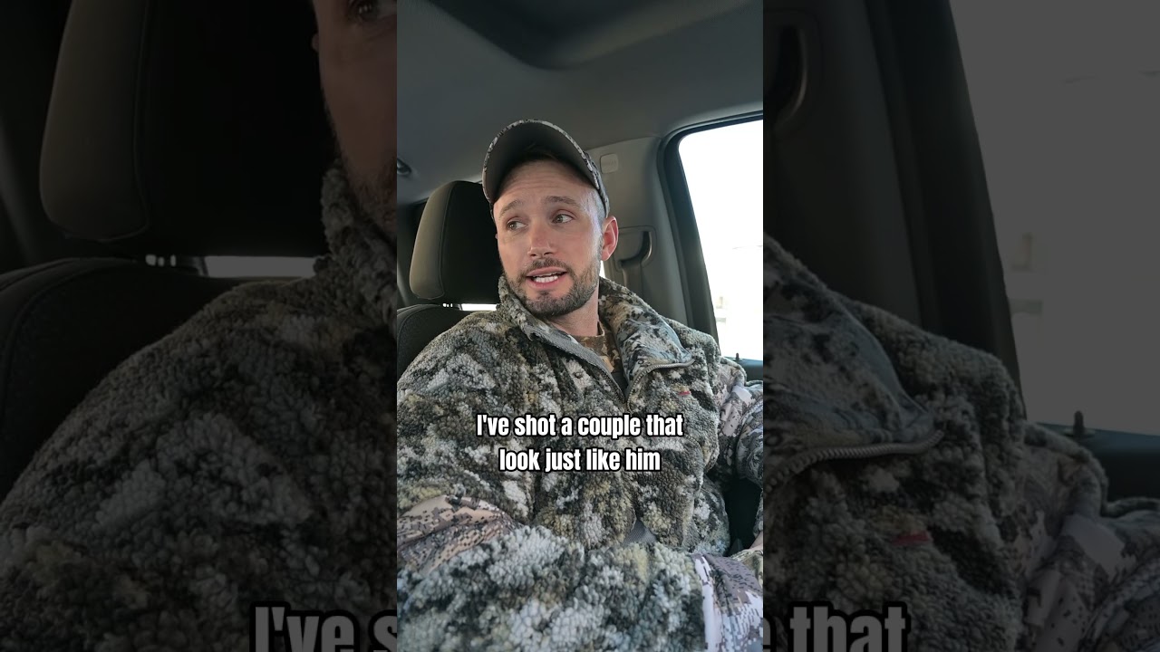 World record bull elk hunt