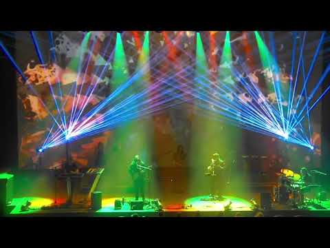 Pink Talking Fish Celebrate 10 Year Anniversary With East Coast Fall ...