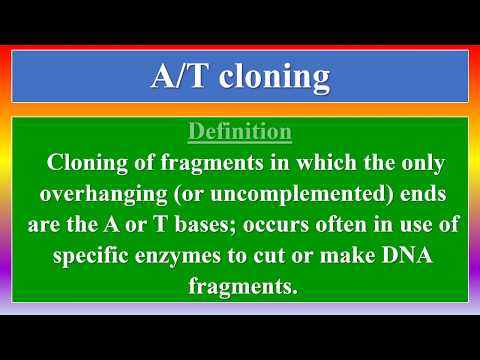 A/T cloning