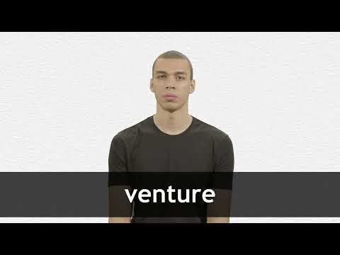 VENTURE definición y significado | Diccionario Inglés Collins