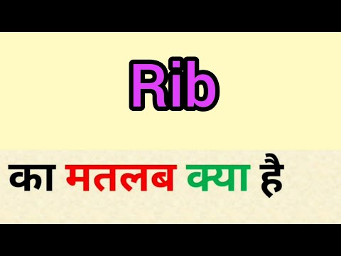 Rib meaning in hindi | rib ka matlab kya hota hai | word meaning in hindi
