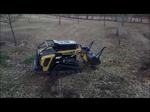 Upstate Brush Control Forestry Mulching