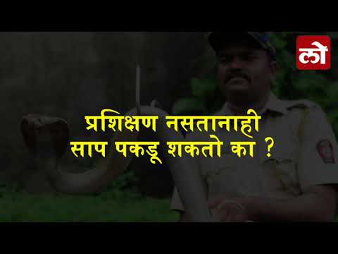 What To Do When You See A Snake?