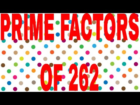 PRIME FACTORS OF 262