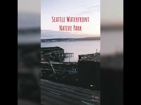 Seattle. 206. Native Park.