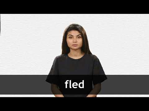 FLED 정의 및 의미 | Collins 영어 사전