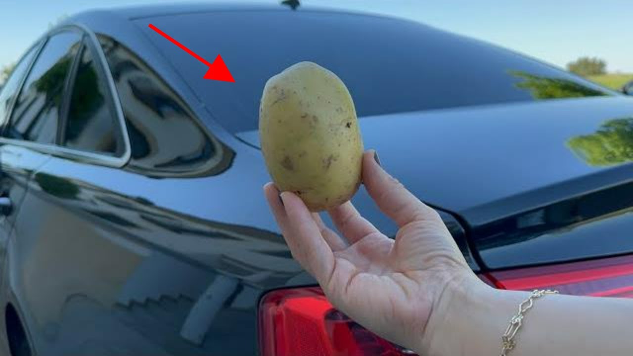 'Life saving' reason drivers urged to keep a potato in car ...