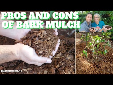 🌲 Pros and Cons of Bark Mulch - QG Day 140 🌲