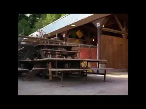Homeward Bound 2: Lost In San Francisco (1996) clip
