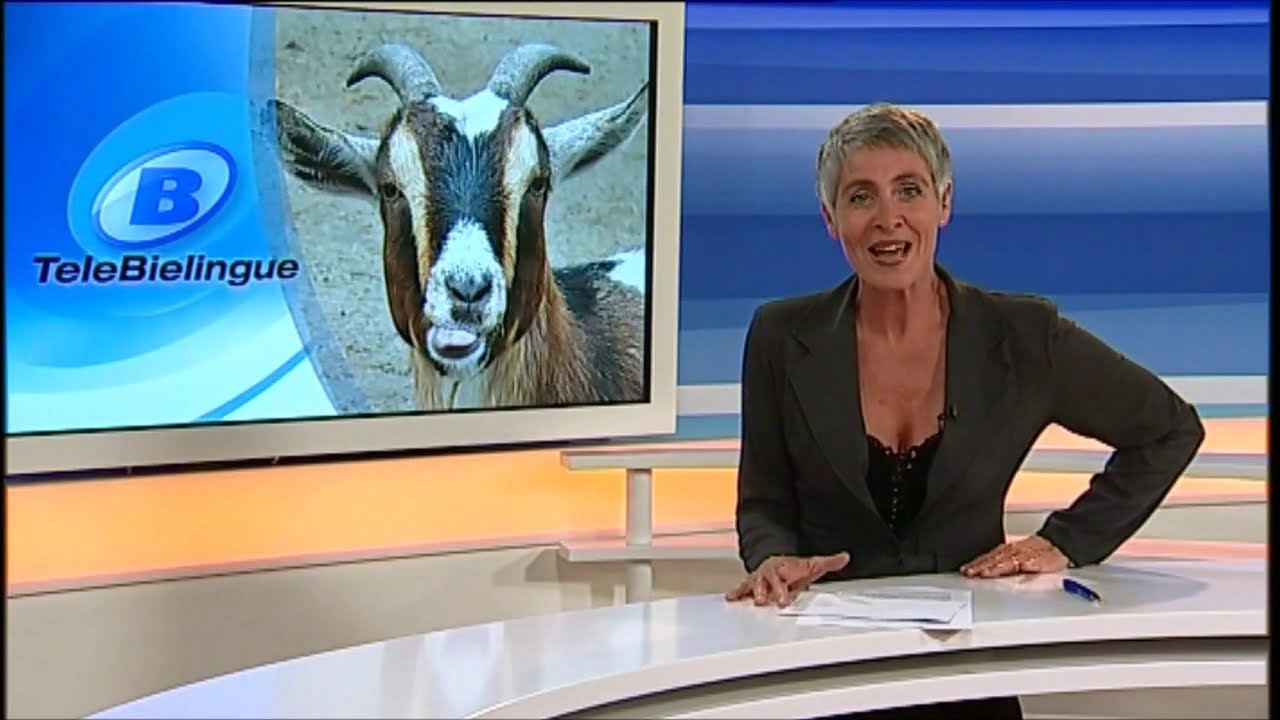 tickling french tv