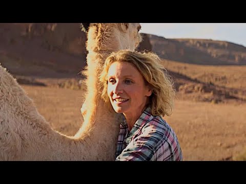 Découvrez la bande-annonce du film Zodi et Téhu, frères du désert avec ...