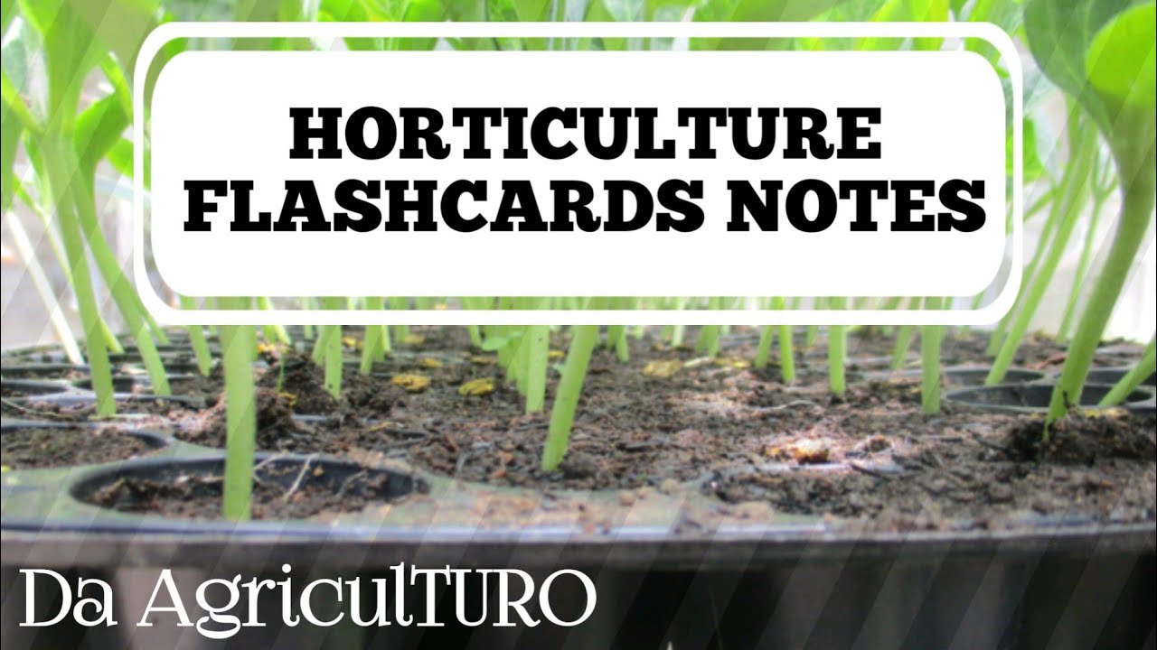 HORTICULTURE FLASHCARDS NOTES