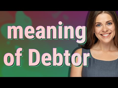 Debtor | meaning of Debtor