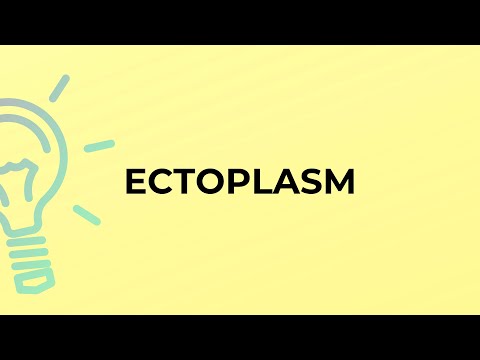 What is the meaning of the word ECTOPLASM?
