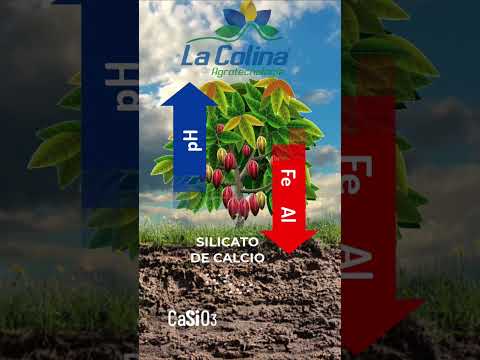 Enmiendas compuestas, Cal agrícola, yeso agrícola y silicato de calcio, cómo funcionan