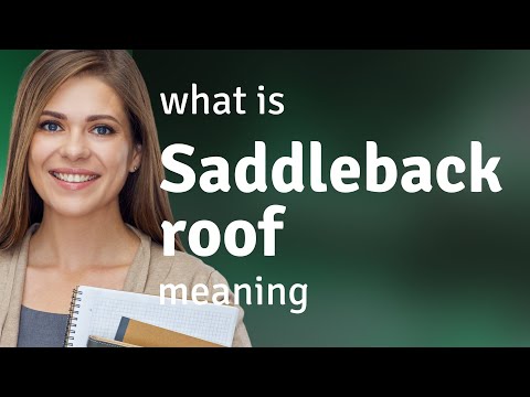Saddleback roof — SADDLEBACK ROOF meaning