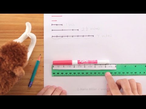 Measuring length to the nearest half-inch: 2nd grade math