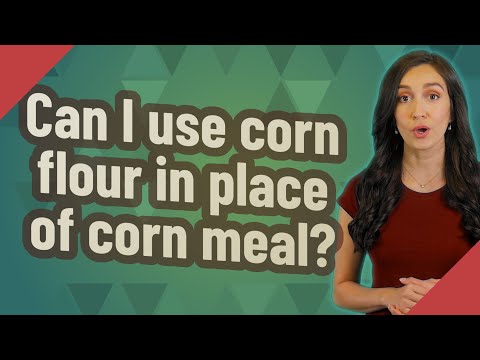 Can I use corn flour in place of corn meal?
