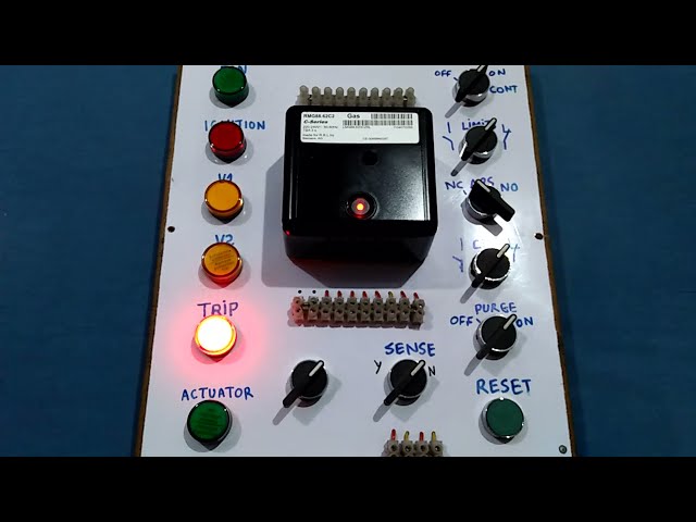 Riello Burner Spare Parts - Riello FS5/FS10 Flame Rod Exporter from Kolkata