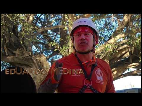 ISA 2023 Awards of Distinction | Eduardo Medina