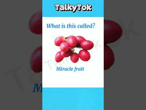 What Is This Fruit Called in English? | Learn Exotic Fruit Names Fast!