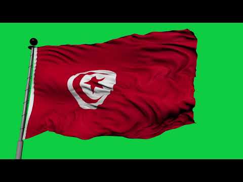 🚩Tunisia Flag Waving | GREEN SCREEN & CHROMA MATTE🚩