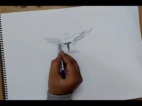 united states airforce logo drawing I how to draw united states airforce logo