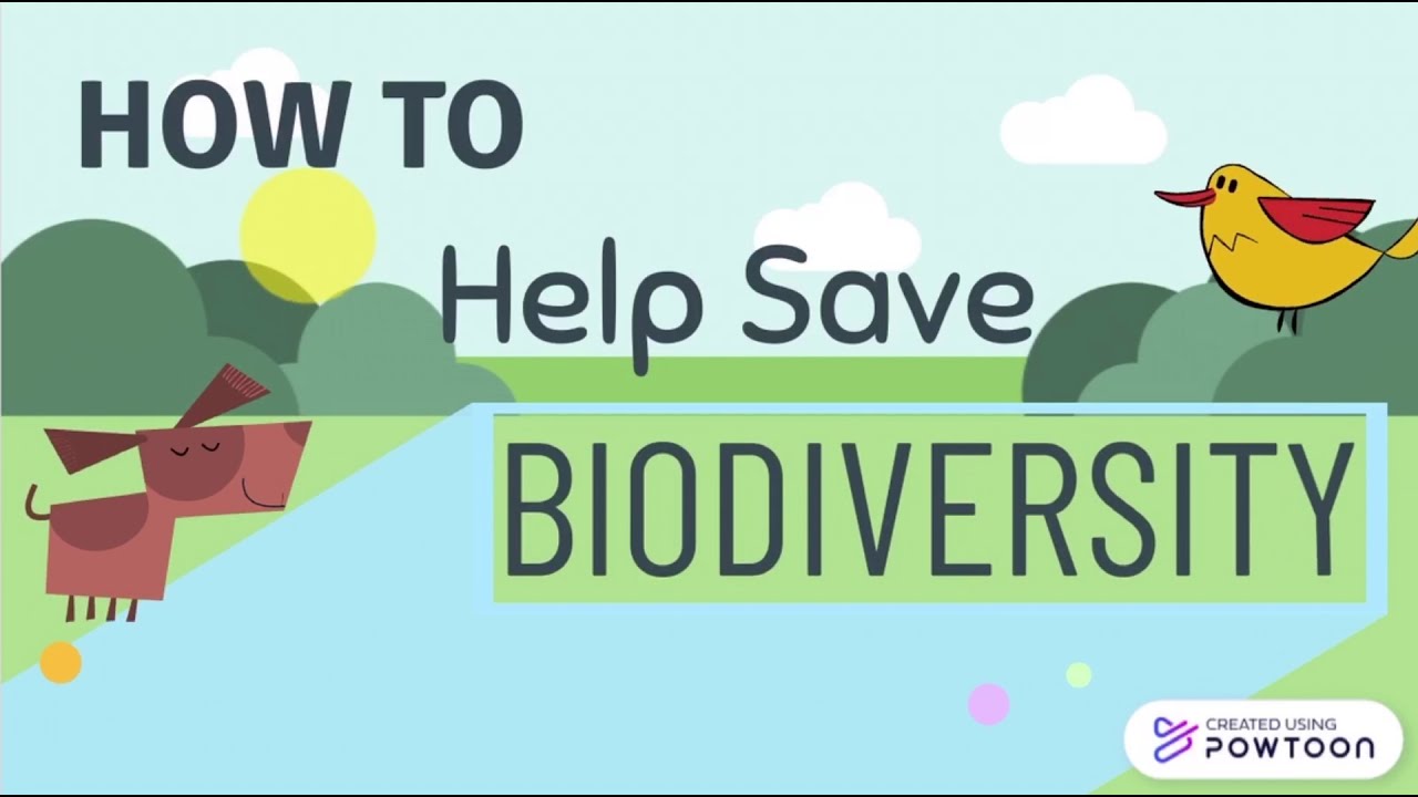 Practical Steps to Save Biodiversity: A Guide for Everyone | Galaxy.ai