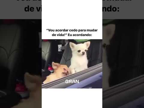 Acontece sempre, né? #shorts #humor #meme #faculdade #ead #ensinosuperior #digital